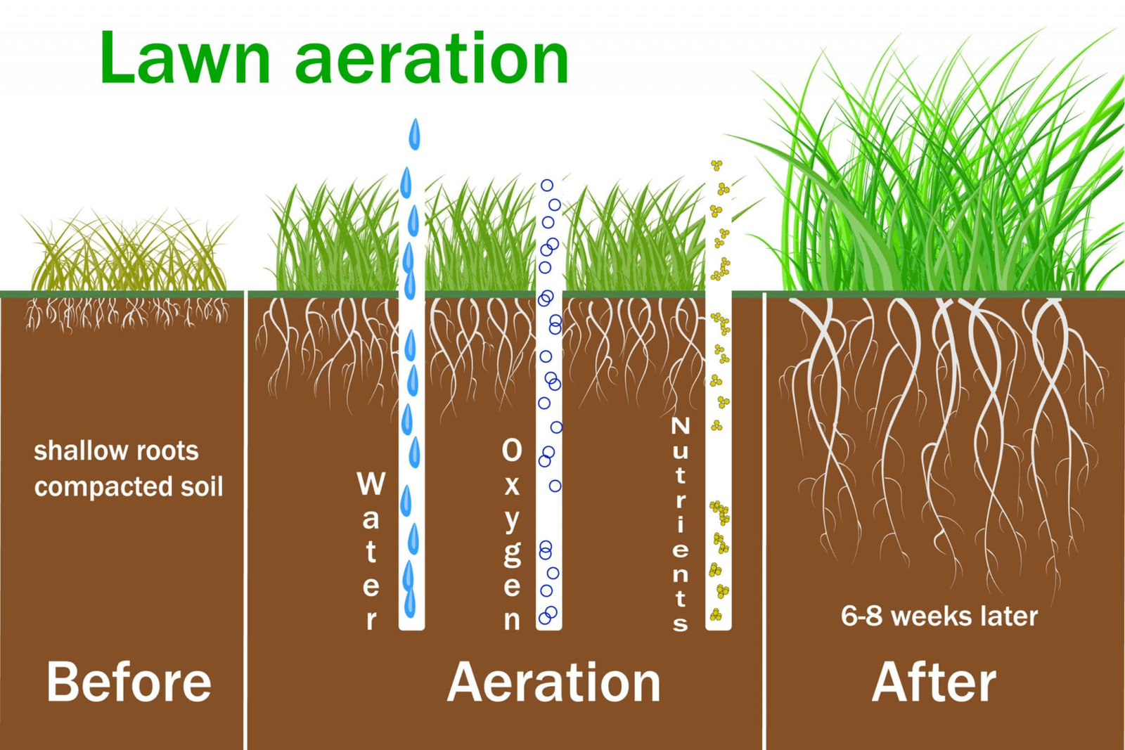 Benefits of Lawn Aeration – HM Landscaping